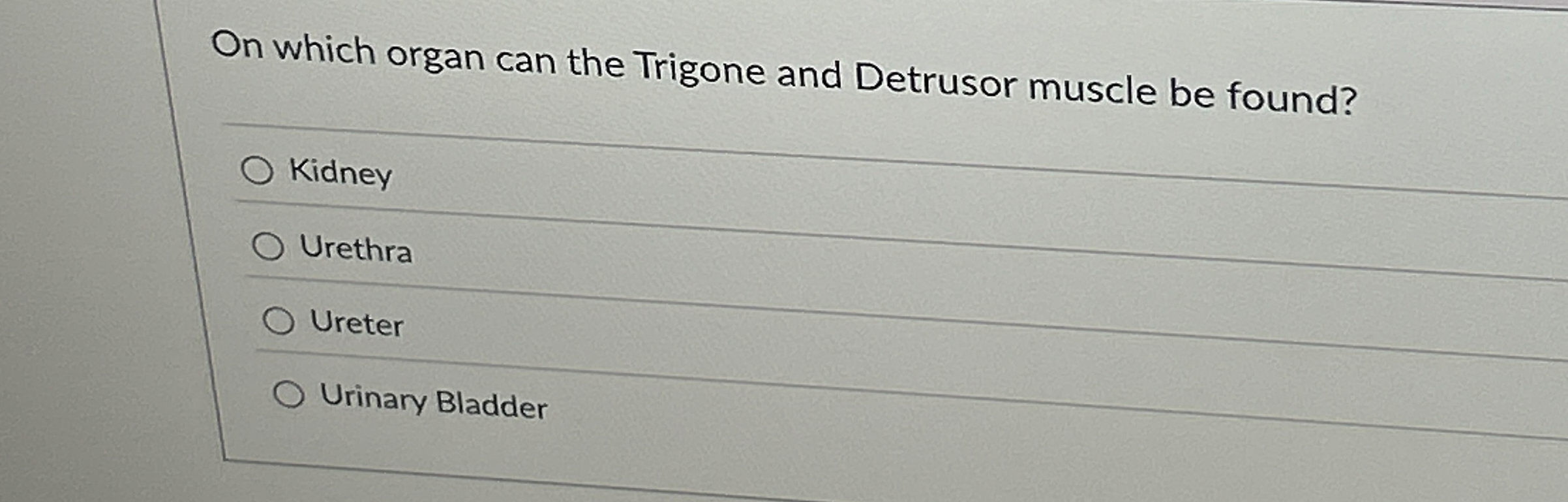 Solved On which organ can the Trigone and Detrusor muscle be | Chegg.com