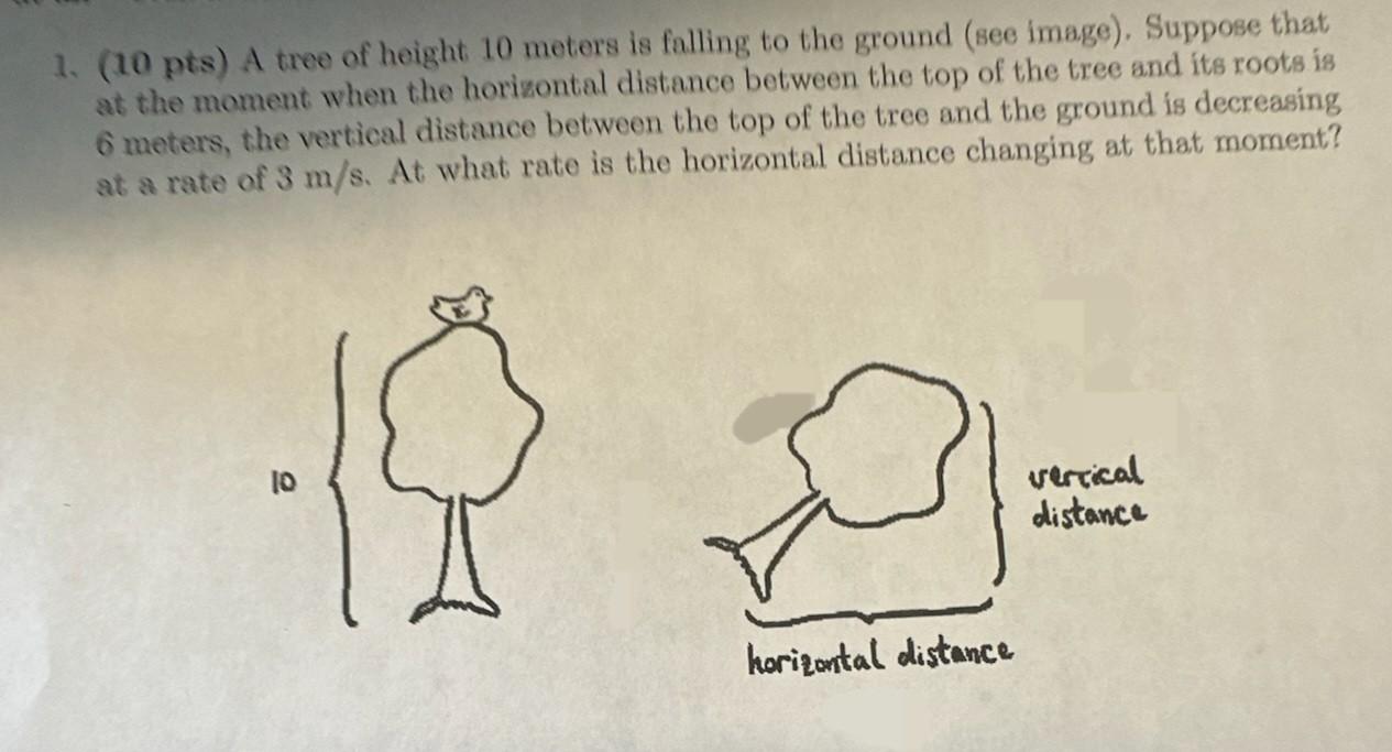 Solved 1. (10 pts) A tree of height 10 meters is falling to | Chegg.com