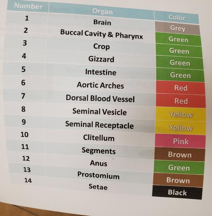 Solved WORM BASE 9 WORM BACK Print this page only Worm | Chegg.com