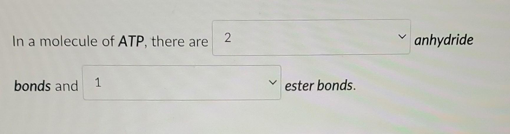 Solved In a molecule of ATP, there are 2 anhydride bonds and | Chegg.com