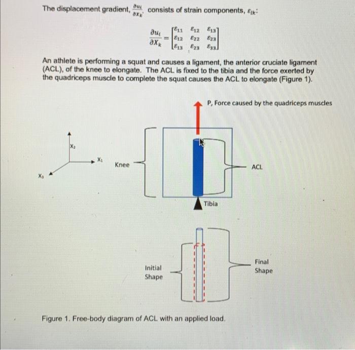 The displacement gradient, ∂xk∂ui, consists of strain | Chegg.com