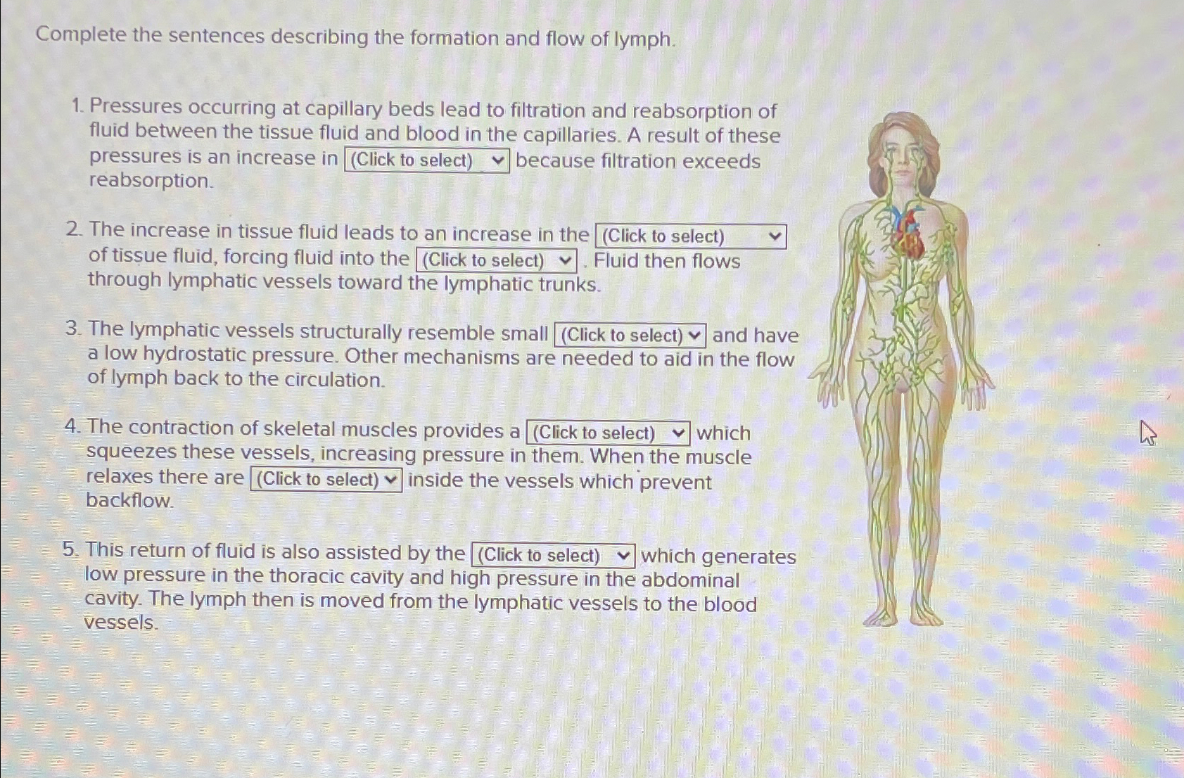 Solved Complete the sentences describing the formation and | Chegg.com