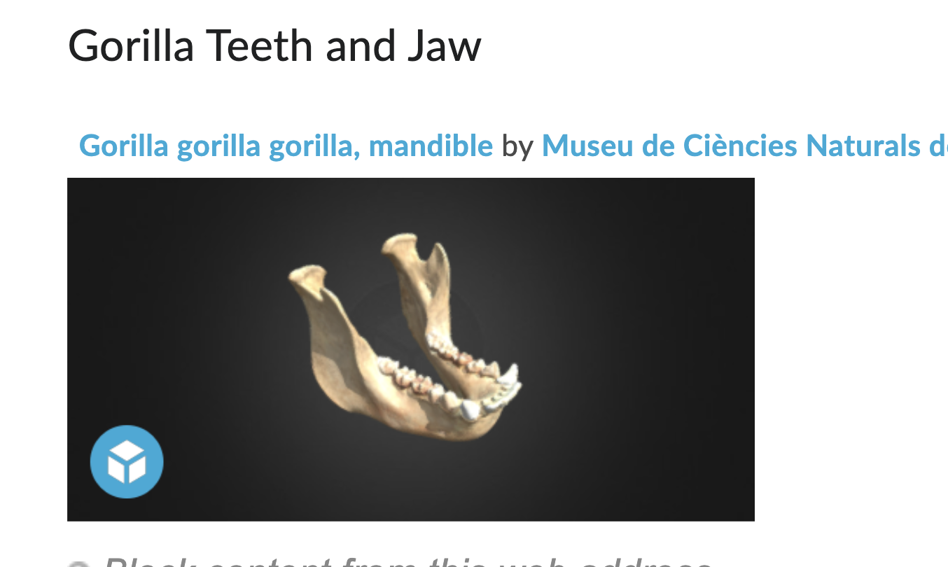 [Solved]: Compare Gigantopithecus teeth and jaw to a Gorilla