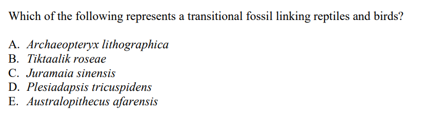 Solved Which of the following represents a transitional | Chegg.com