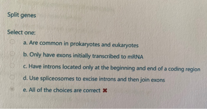 Solved The three-base sequence on mRNA that codes for an | Chegg.com