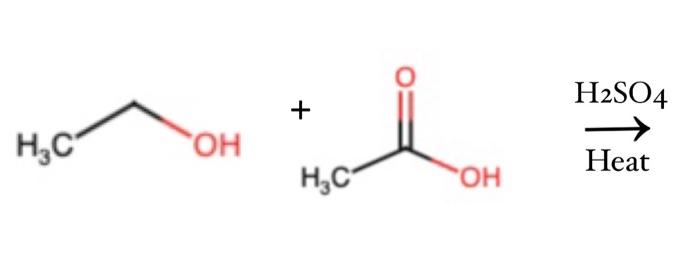 Solved Please show the arrow mechanism. | Chegg.com