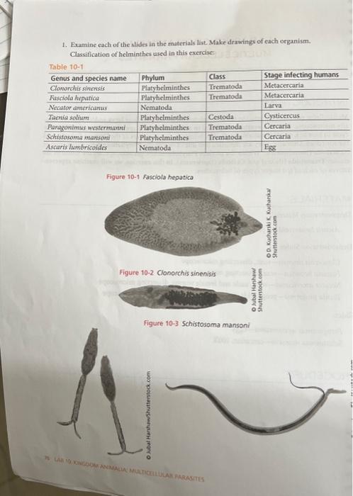 Solved please i need to write a pre lap for this i provide | Chegg.com