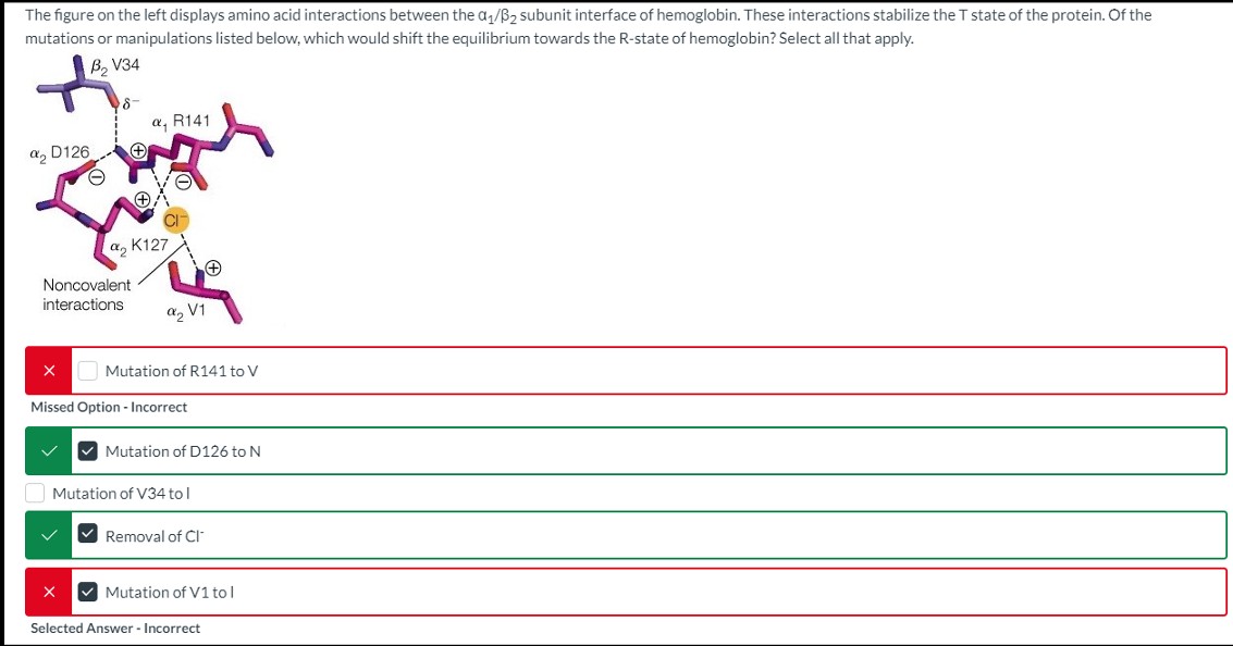 Solved Please help as I am having trouble understanding the | Chegg.com