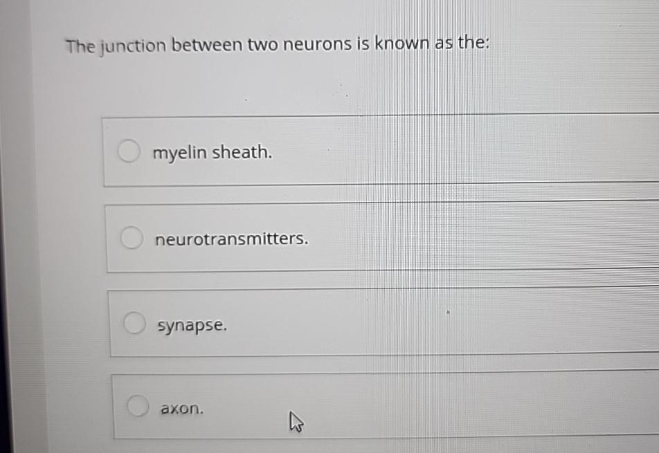 Solved The junction between two neurons is known as | Chegg.com