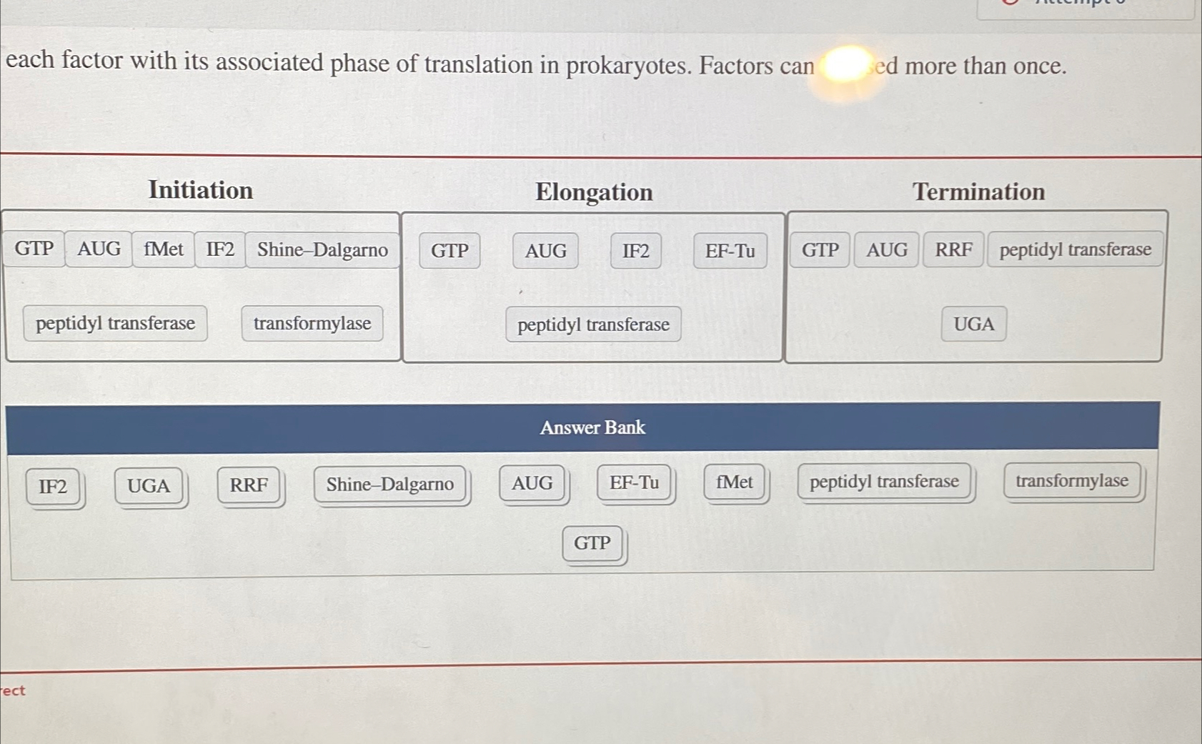 Solved each factor with its associated phase of translation | Chegg.com