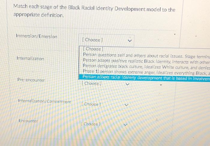 Solved Match each stage of the Black Racial Identity | Chegg.com