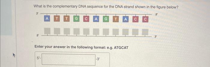 Solved What is the complementary DNA sequence for the DNA | Chegg.com