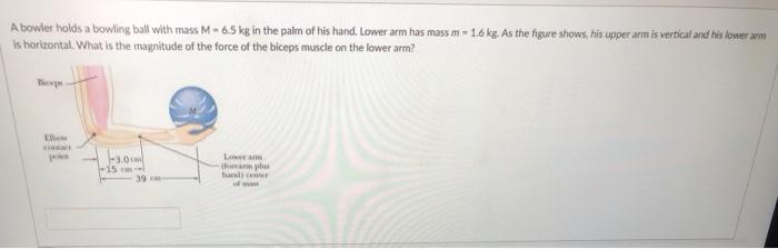 Solved A bowler holds a bowling ball with mass M - 6.5 kg in | Chegg.com