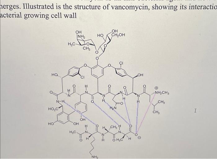Solved explain mode of action of vancomycin ans | Chegg.com