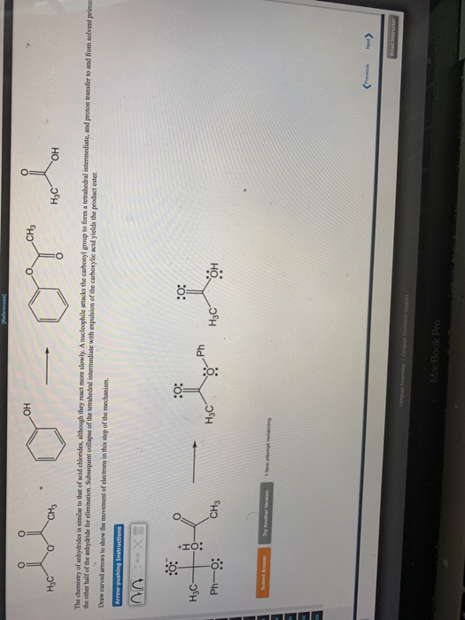 Solved The chemistry of anhydrides is similar to that of | Chegg.com