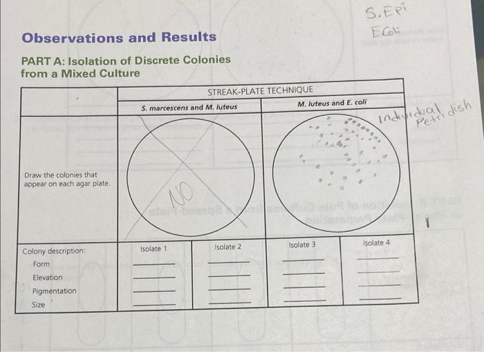 [Solved]: About microbiology, based on the photos of bacteri