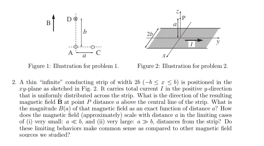 Solved A thin “infinite” ﻿conducting strip of ﻿width | Chegg.com