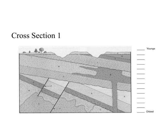 Solved Put cross section 2 in order, from youngest to | Chegg.com