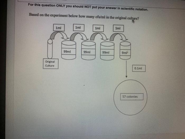 Solved For this question ONLY you should NOT put your answer | Chegg.com