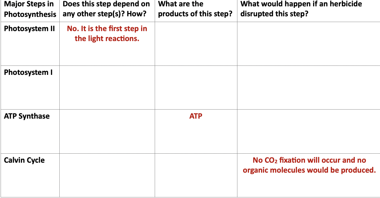 Solved Major steps in photosynthesis. Does this step depend | Chegg.com