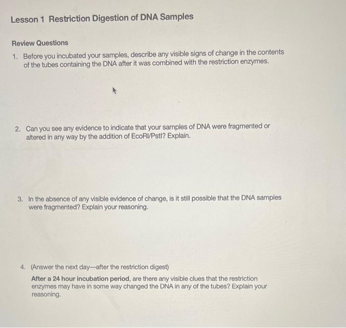 Solved Review Questions 1. Before you incubated your | Chegg.com