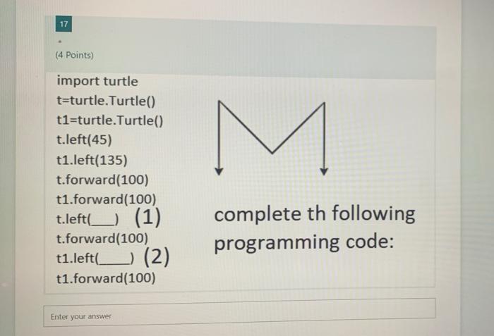 Solved 17 (4 Points) import turtle t=turtle.Turtle() | Chegg.com