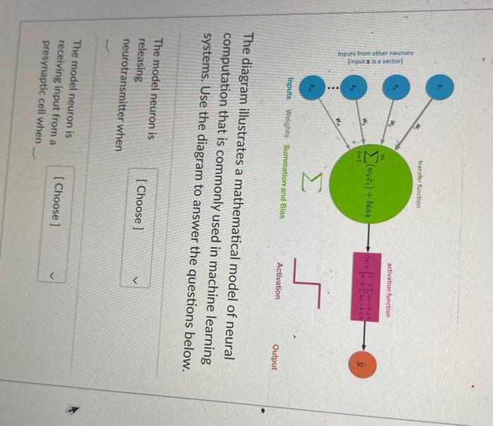 Solved The diagram illustrates a mathematical model of | Chegg.com