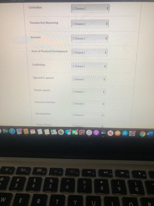 Solved Corpus Callosum Symbolic function substage Intuitive | Chegg.com