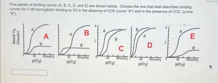 Solved Five panels of binding curves (A, B, C, D, and E) are | Chegg.com