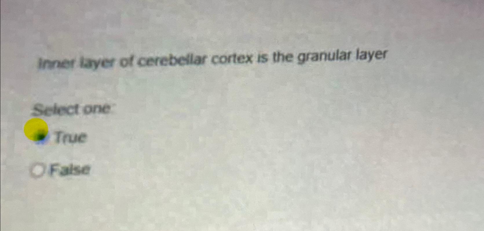 Solved Inner layer of cerebellar cortex is the granular | Chegg.com