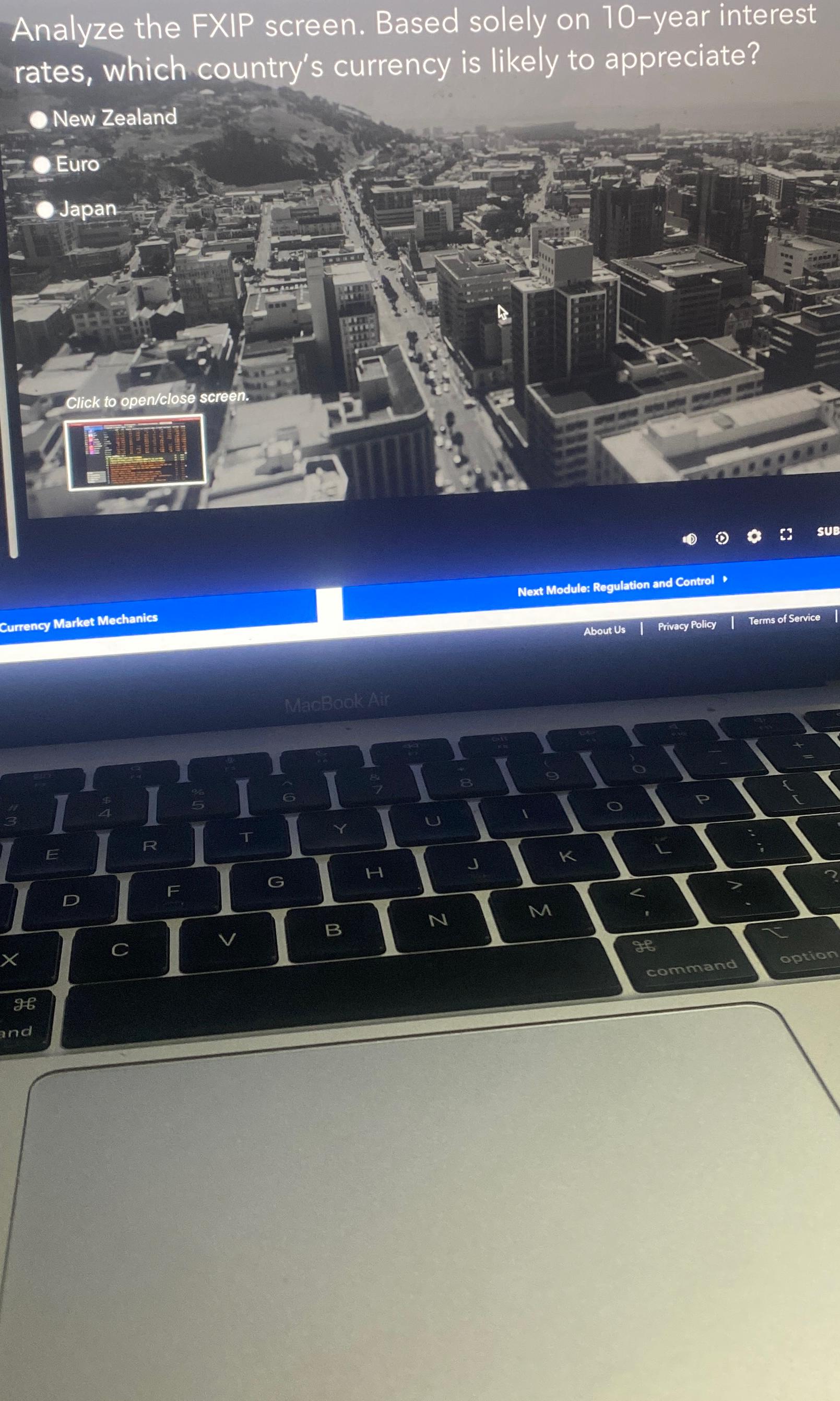 Solved Analyze the FXIP screen. Based solely on 10-year | Chegg.com