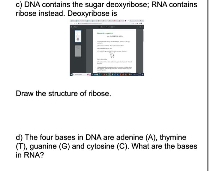 Solved Which part(s) of a gene produces a protein product? | Chegg.com