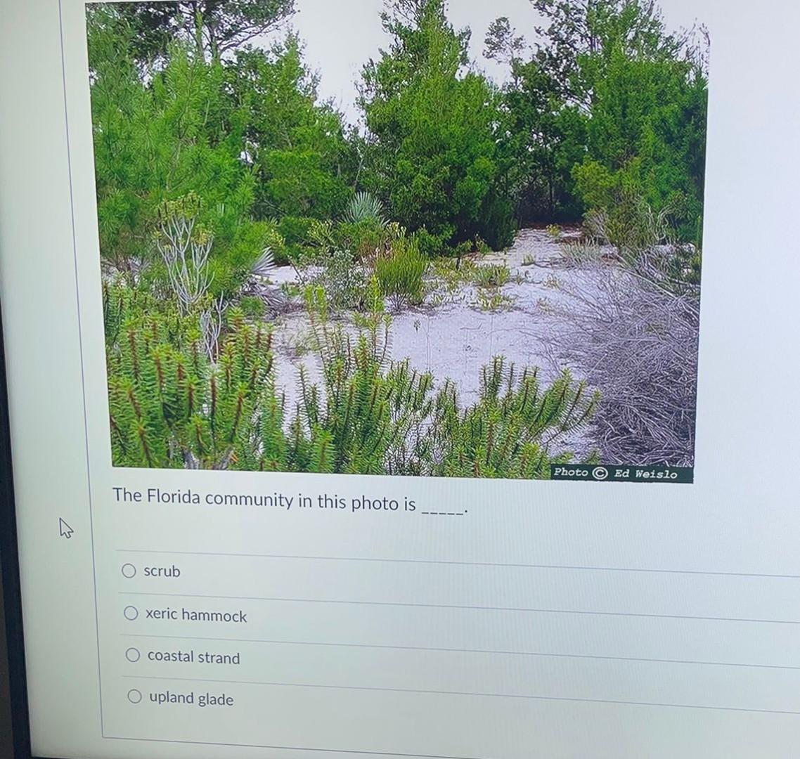 Solved ZE Sec Photo © Ed Weislo The Florida community in | Chegg.com