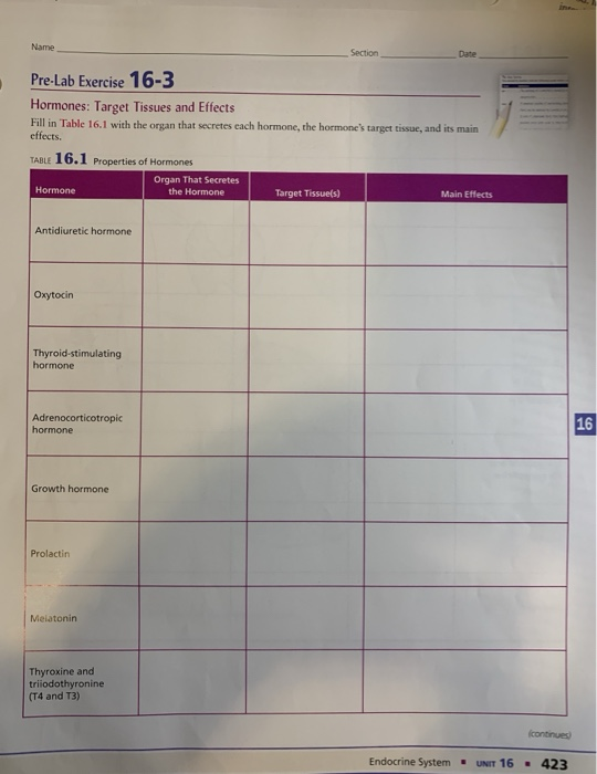 Solved Name Pre-Lab Exercise 16-3 Hormones: Target Tissues | Chegg.com
