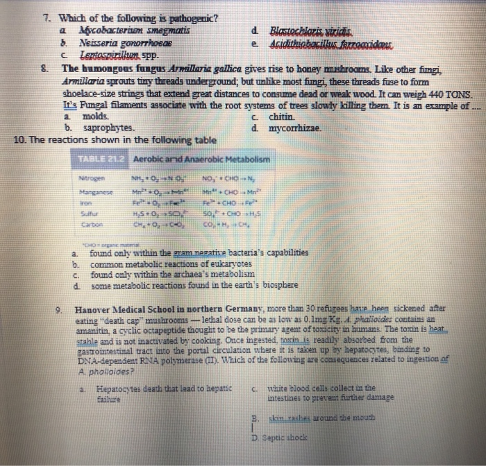 Solved 7. Which of the following is pathogenic? Mycobacteria | Chegg.com