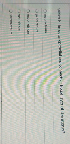 Solved Which is the outer epithelial and connective tissue | Chegg.com