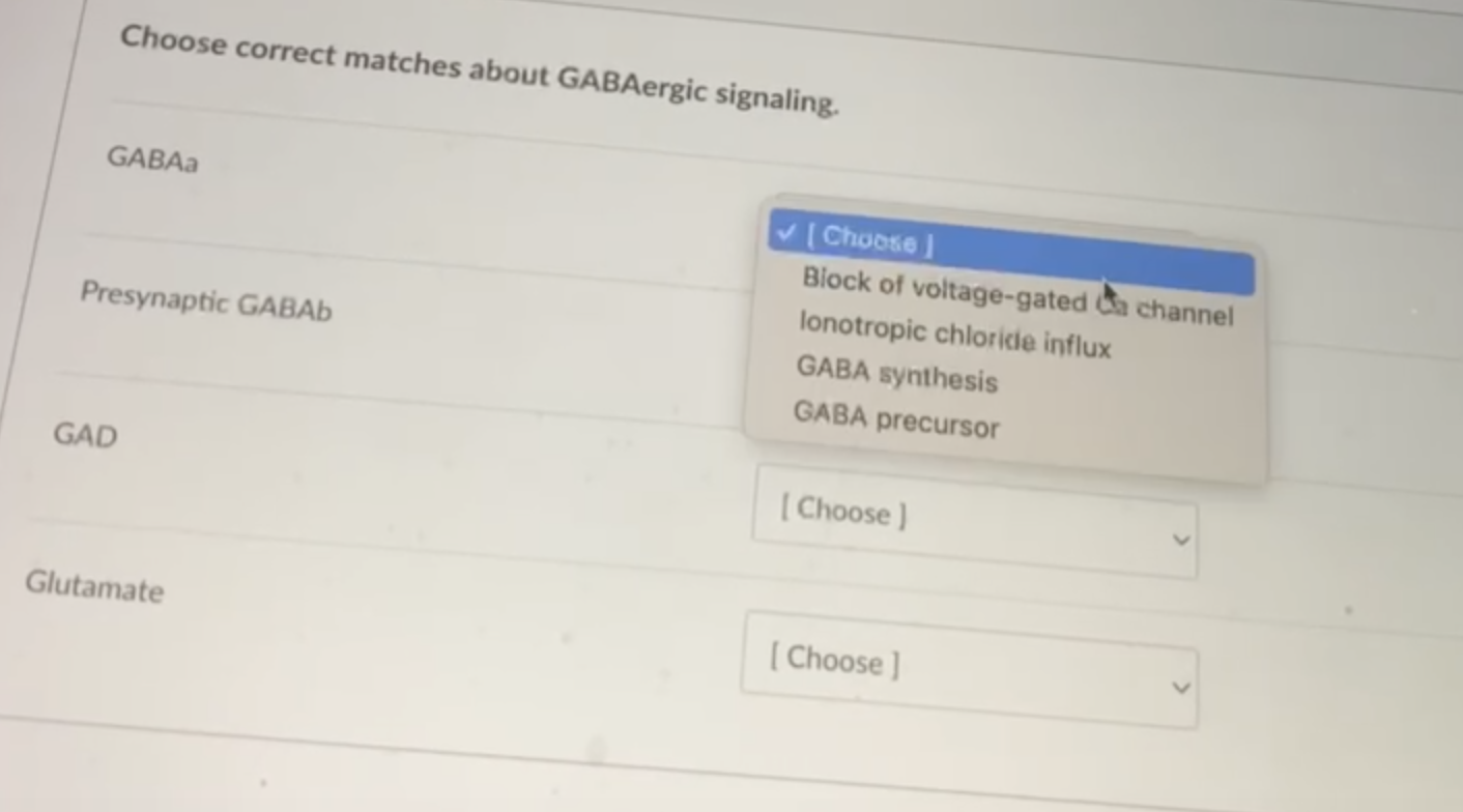 Solved Choose correct matches about GABAergic | Chegg.com