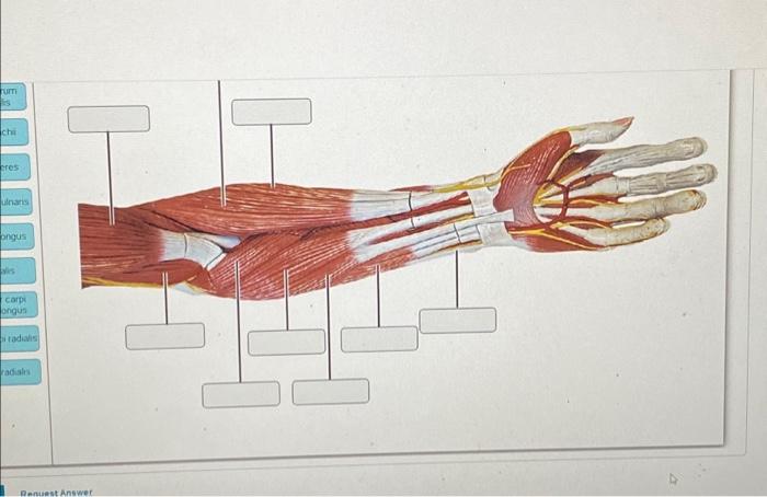 Solved label | Chegg.com