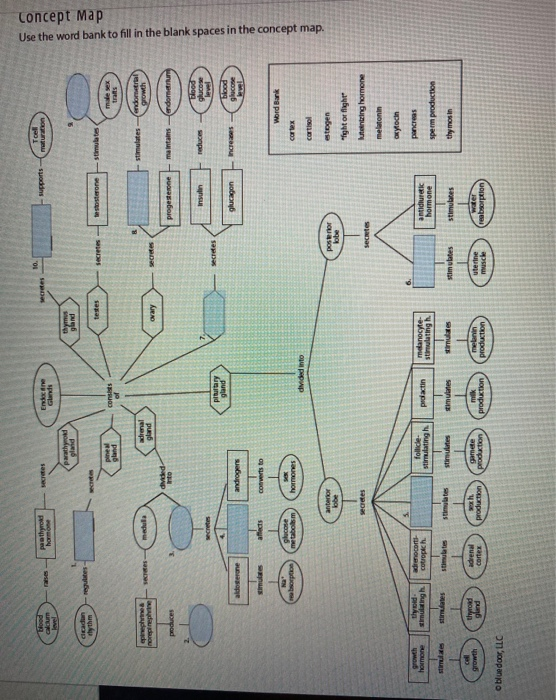 Solved epinephes norepinephrine progesterone Concept Map Use | Chegg.com