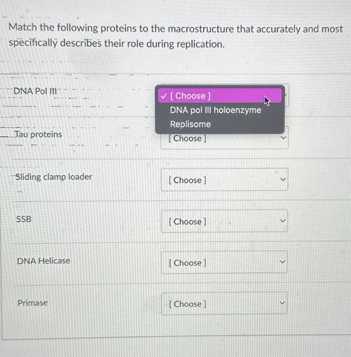 Solved Match the following proteins to the macrostructure | Chegg.com