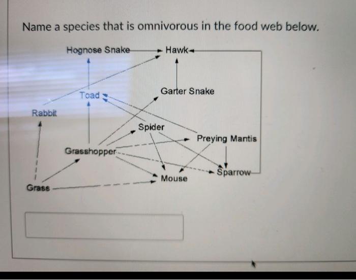Solved Name a species that is omnivorous in the food web | Chegg.com