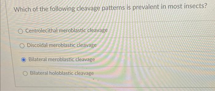Which of the following cleavage patterns is prevalent | Chegg.com