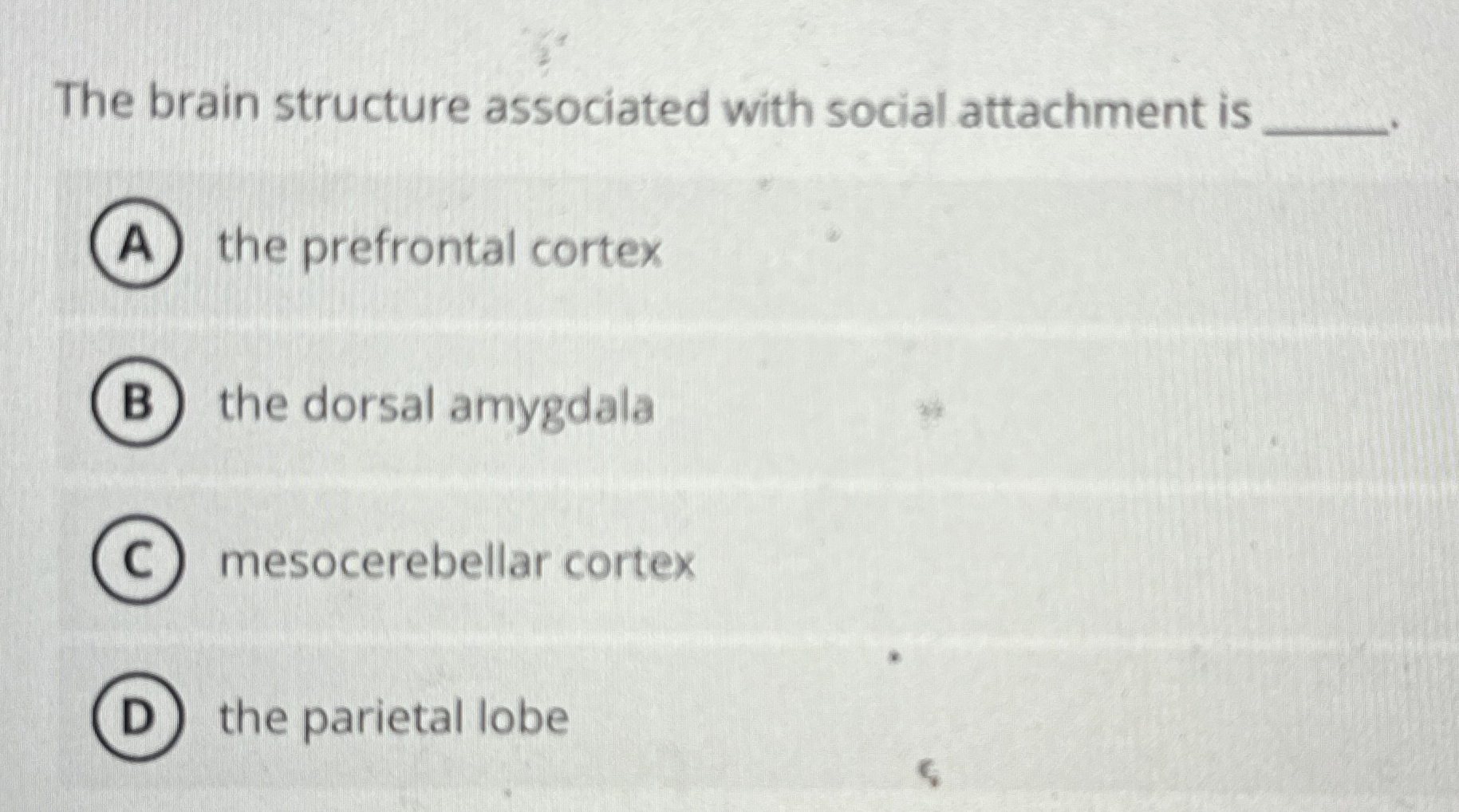 Solved The brain structure associated with social attachment | Chegg.com
