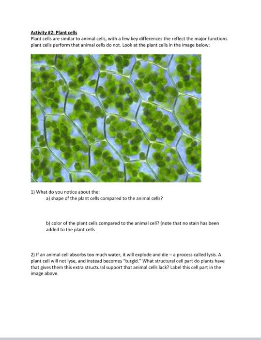 Solved Activity 1 A Little Review Identifying The Parts 
