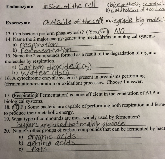 Solved Endoenzyme inside of the cell a)biosynthesis or | Chegg.com
