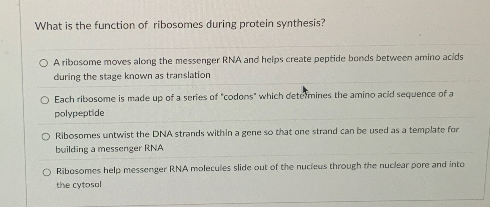 Solved What is the function of ribosomes during protein | Chegg.com
