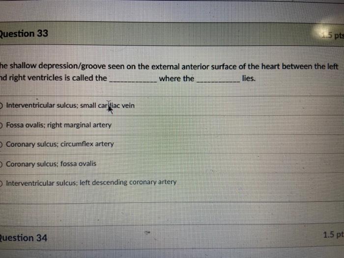 Solved Question 33 6.5 pts he shallow depression/groove seen | Chegg.com