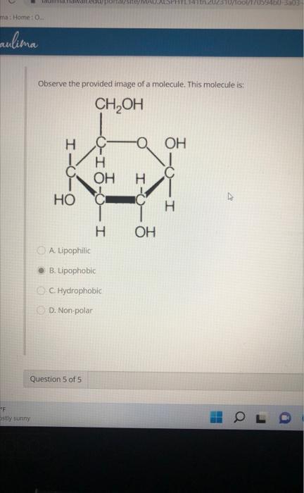 Solved Observe the provided image of a molecule. This | Chegg.com