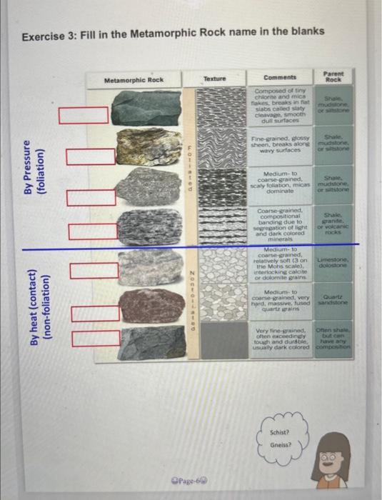 Solved Exercise 3: Fill in the Metamorphic Rock name in the | Chegg.com