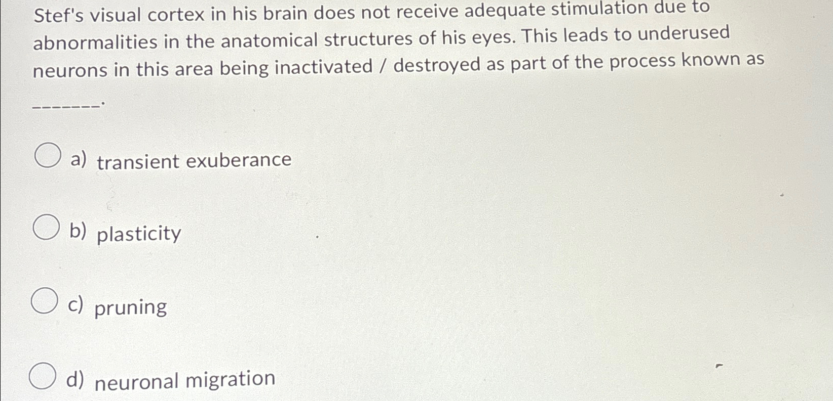 Solved Stef's visual cortex in his brain does not receive | Chegg.com